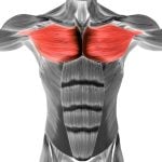 Resistance Band Chest Flyes - Unanchored | CALISTHENICS Workouts ...