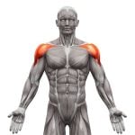Pike Push-Up | CALISTHENICS Workouts & Equipment