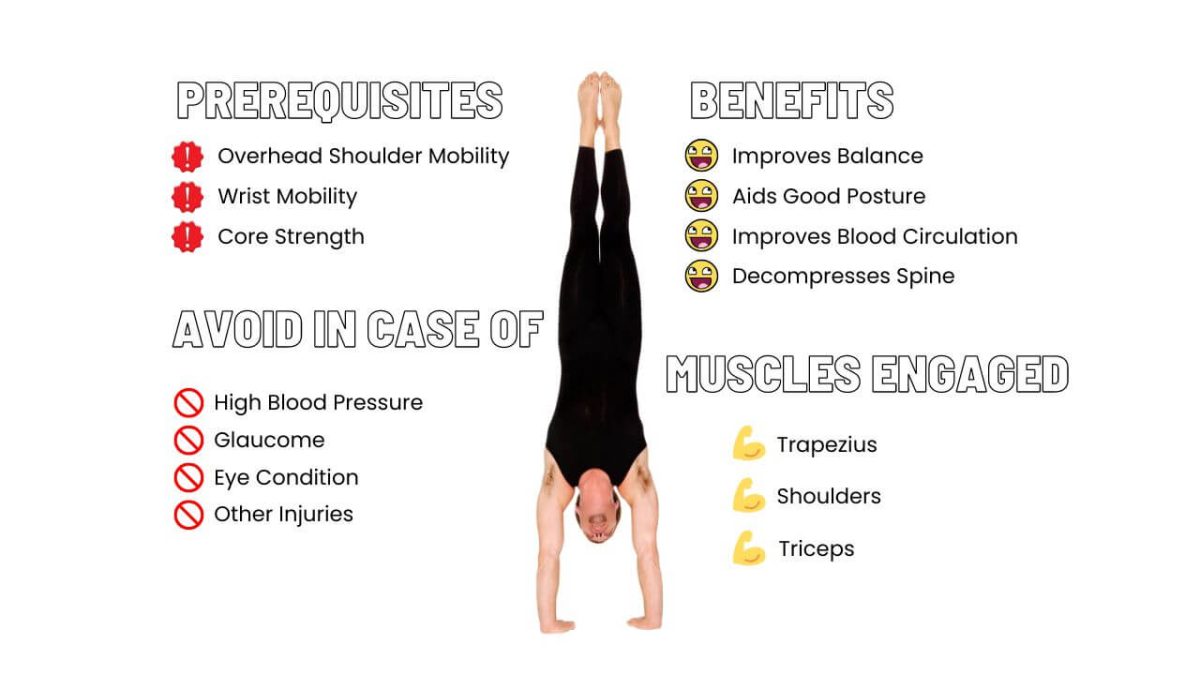 TOP Handstand Benefits And Muscles Worked | CALISTHENICS Workouts ...
