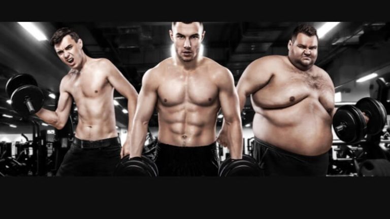 How To Build Muscle With Calisthenics | CALISTHENICS Workouts & Equipment