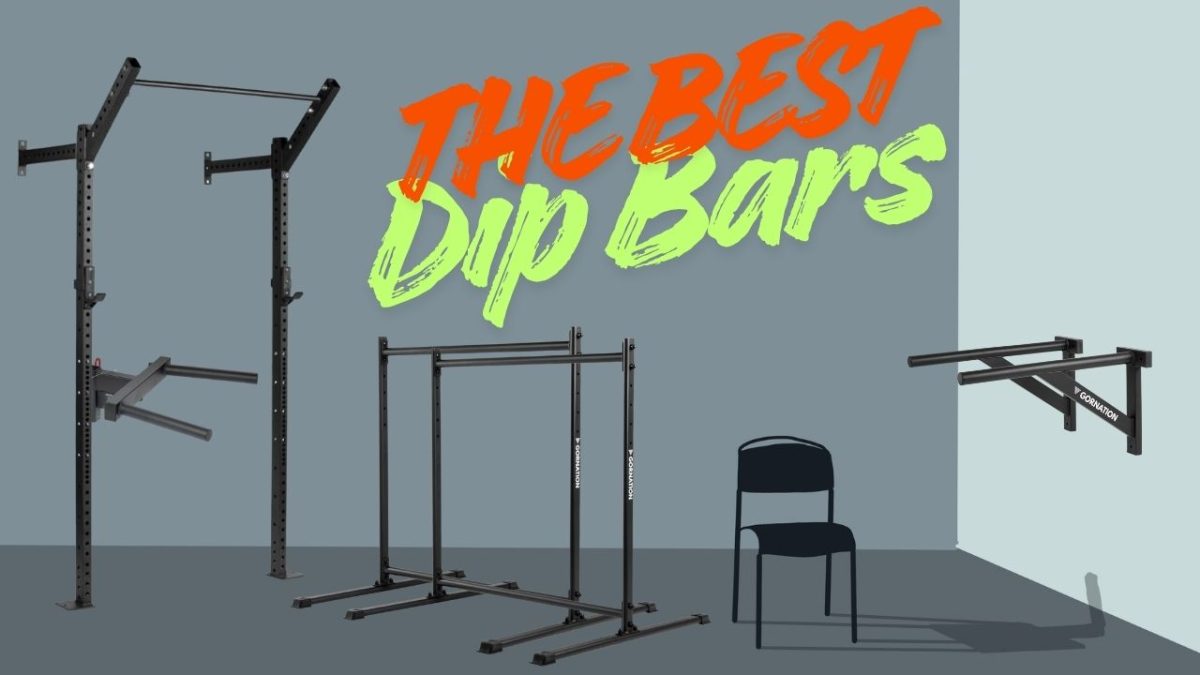 Best Dip Bars [2025] | CALISTHENICS Workouts & Equipment